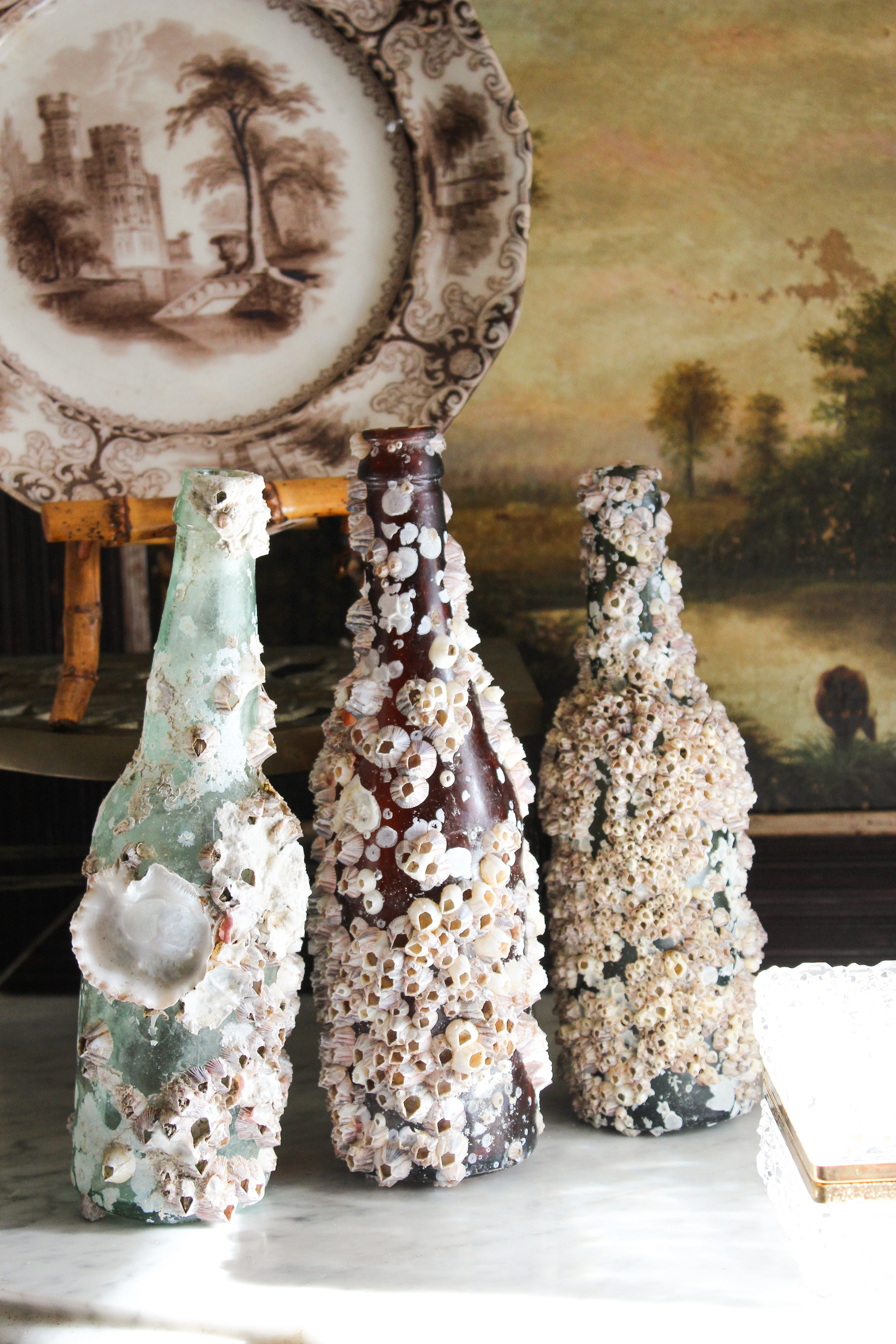 Barnacle-Encrusted Glass Bottle – Odelia's Home